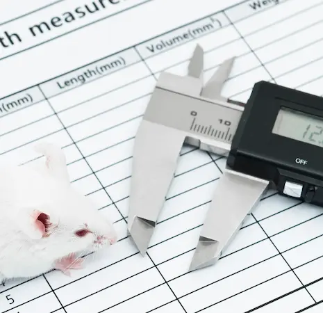 Unlocking the Benefits of In-Vivo Animal Studies - VivoTrackAI